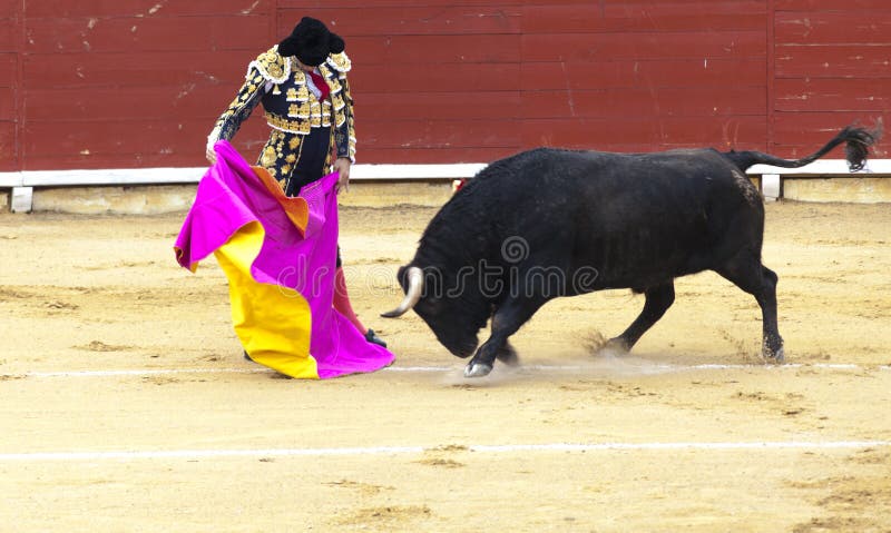 Spanish Bullfight. the Enraged Bull Attacks the Bullfighter Editorial ...