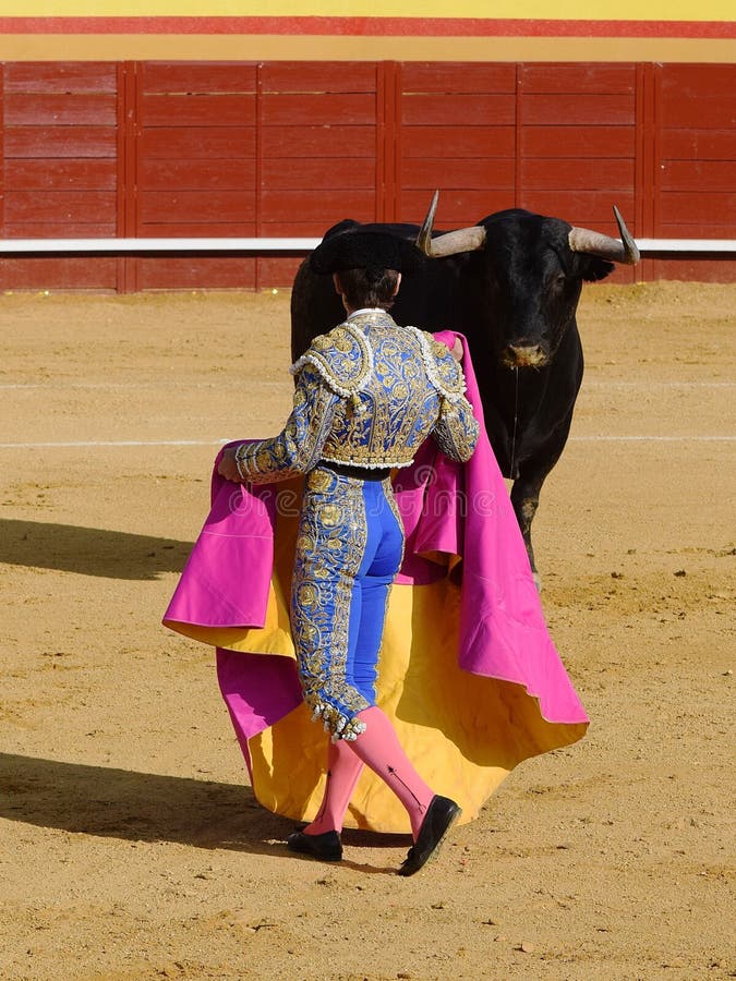Bull editorial photography. Image of spanish, bull, bullfighter - 131269342