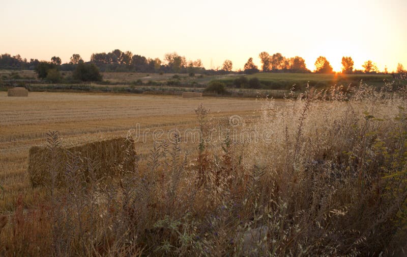 Spanish countryside stock image. Image of agriculture - 34230307