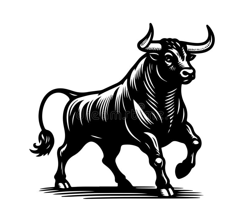 Spanish Fighting Bull Vector Hand Drawn Illustration Stock Illustration ...