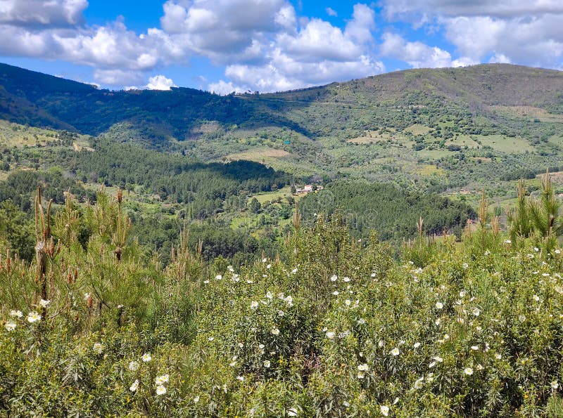 Spanish landscape stock photo. Image of andalusia, idyllic - 267169104