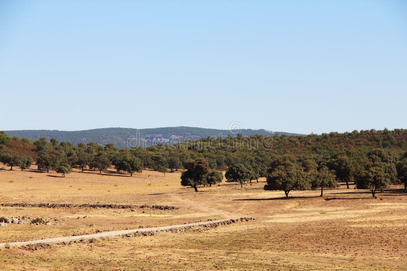 Spanish landscape stock image. Image of meadow, spain - 42043883