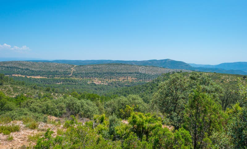 Spanish Landscape of Trees and Hills Stock Photo - Image of plant ...