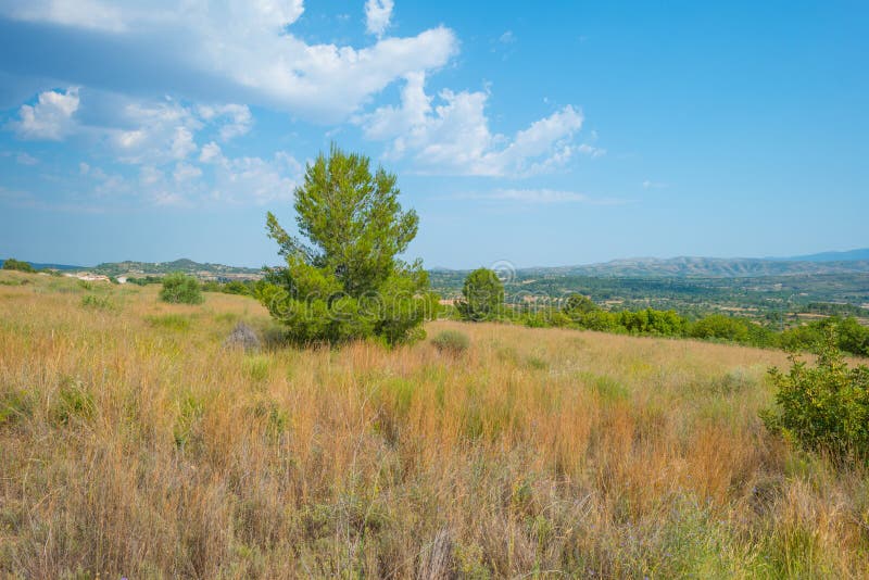 Spanish Landscape of Trees and Hills Stock Photo - Image of rural ...