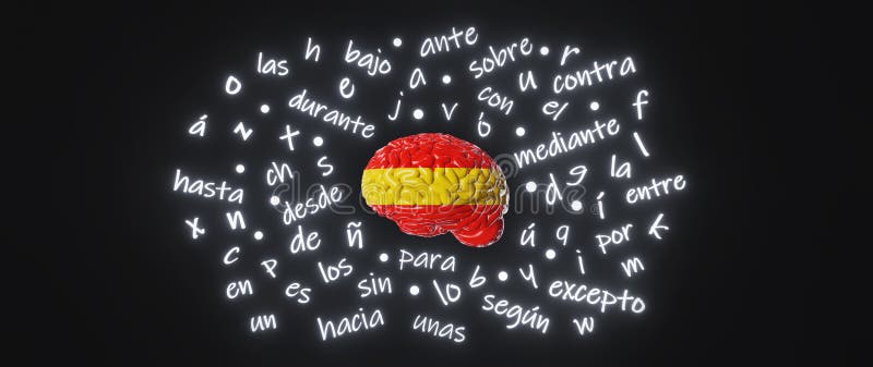 Spanish Learning Foreign Language Fluency Improvement Human Brain Spain ...