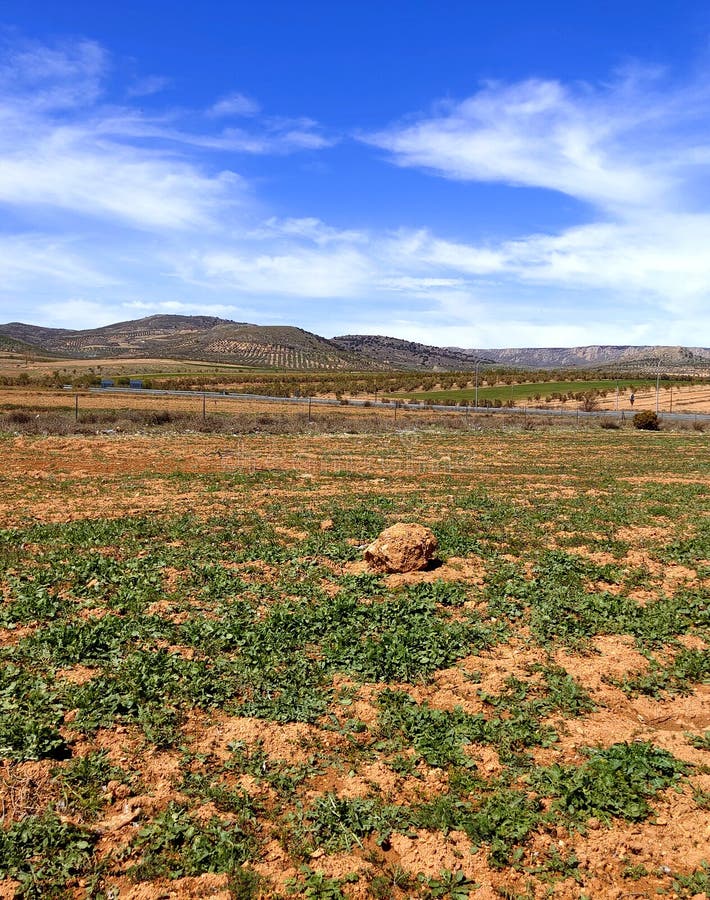 Spanish meadows stock image. Image of environment, field - 245823465
