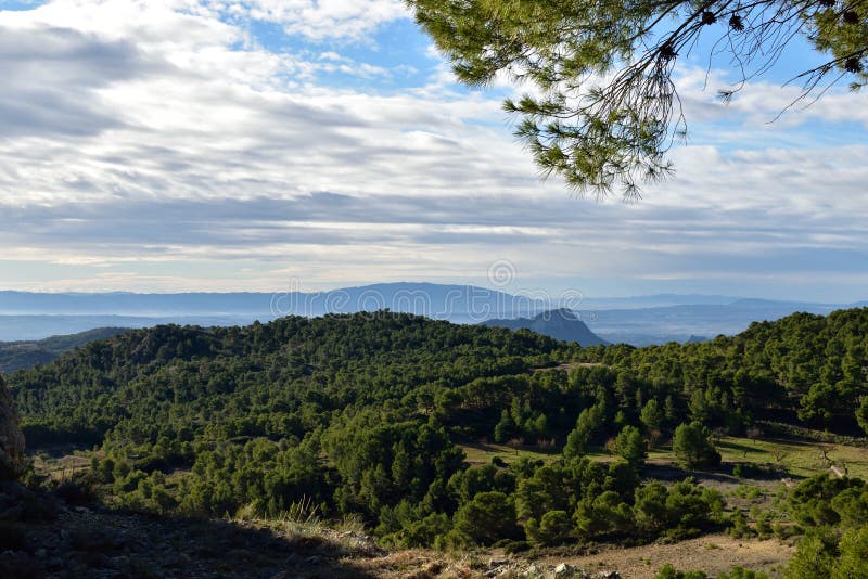 Spanish Mountain Scene with Pine Forest in the Foreground Stock Photo ...