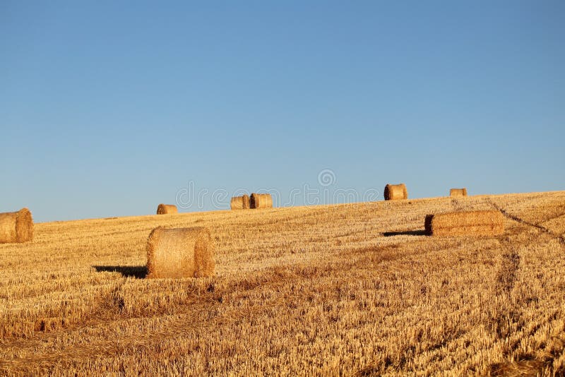 Spanish-spanish Mowed Field of Spain with Straw Collected in Bales ...
