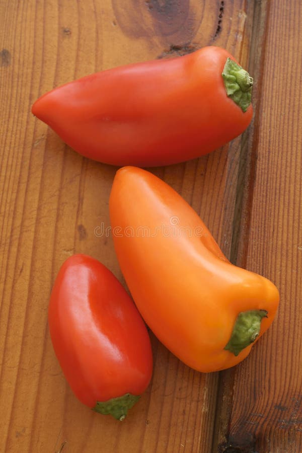 Sweet mini peppers stock photo. Image of ingredient, capsicum - 31015236