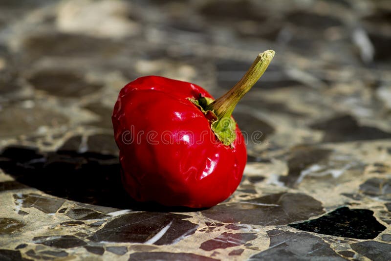 Spanish Red Pepper on Granite Floor Stock Image - Image of spanish ...