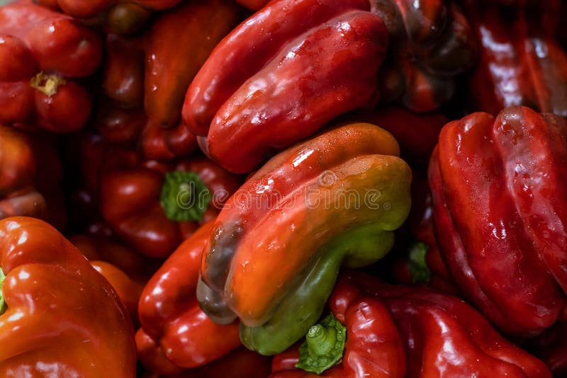 Spanish Red Peppers. Healthy Food Concept Stock Image - Image of ...