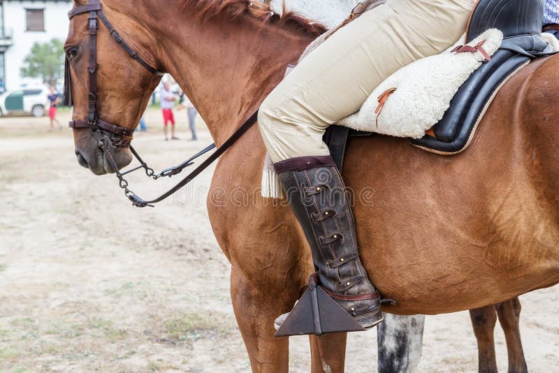 Spanish rider stock image. Image of sttravel, flamenco - 735105
