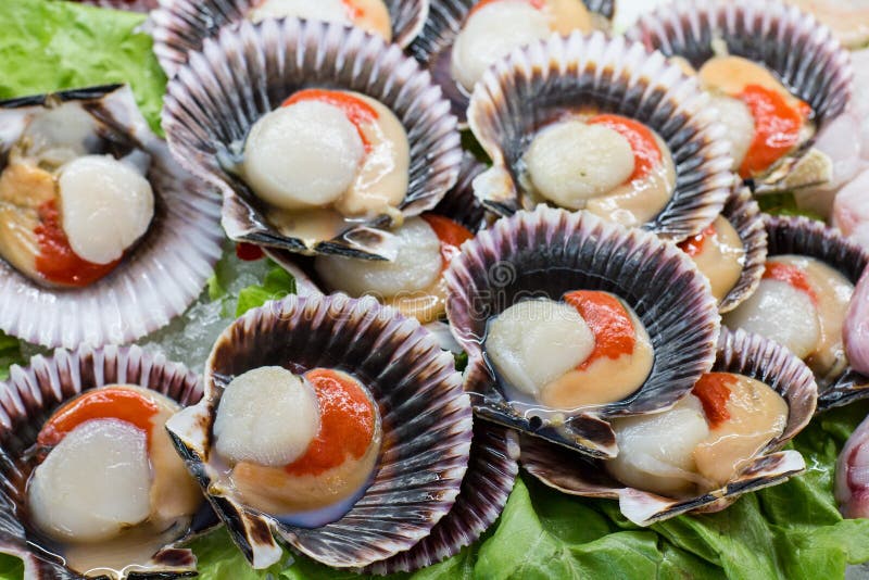 Spanish Shells at the Restaurant Stock Image - Image of healthy, dishes ...