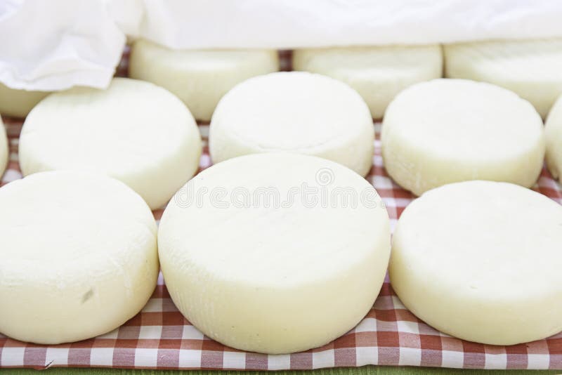 Spanish white cheese stock photo. Image of edam, gouda - 50608736