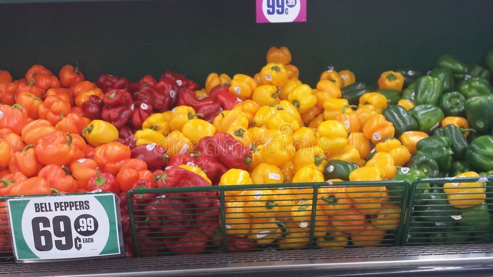 Spansk peppar fotografering för bildbyråer. Bild av peppar - 49484607