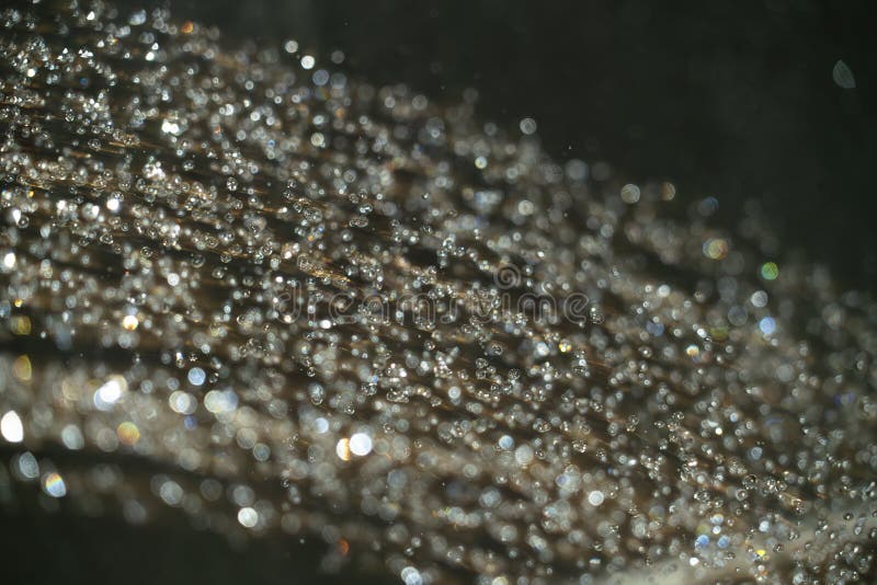 Sparkling Droplets on a Surface Create a Shimmering Display of Light ...