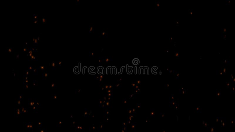 Sparkling Fire Sparks Loop Against a Black Background Stock Video ...