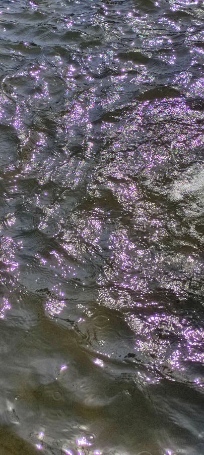 Sparkling Lake Water, Sunny Weather Stock Image - Image of water, lake ...