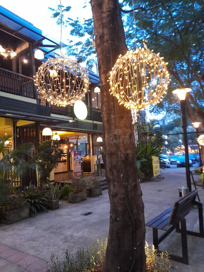Sparkling Lights Hanging on the Trees Stock Image - Image of tree ...