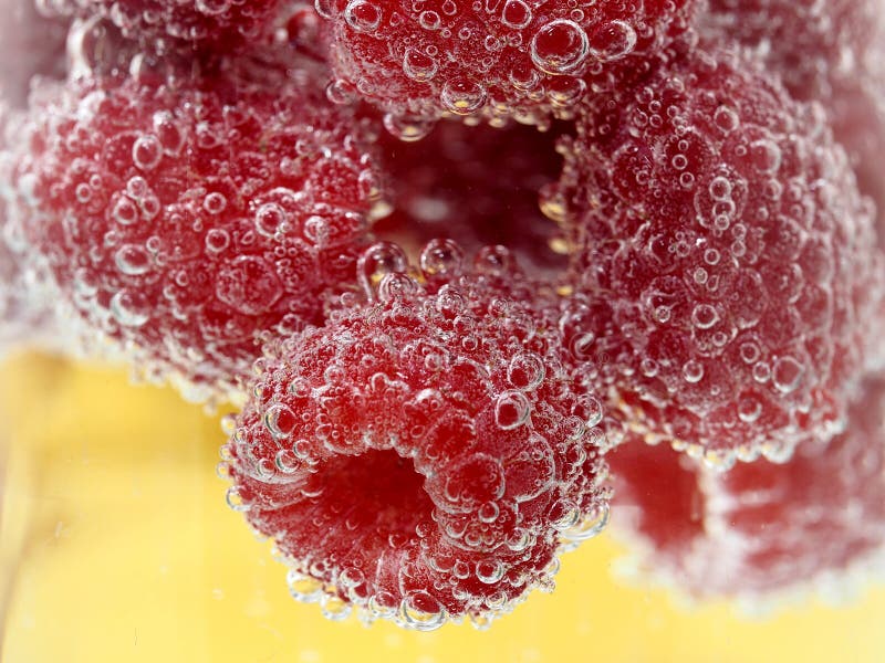 Sparkling raspberry stock photo. Image of closeup, macro - 31233156