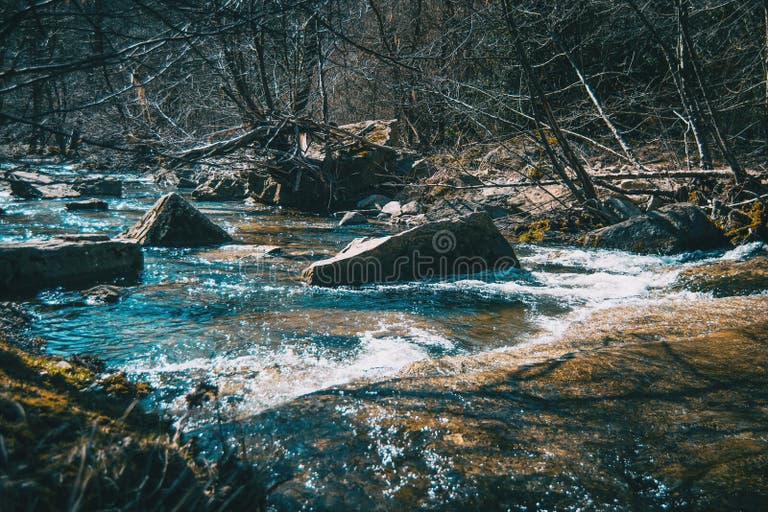 A sparkling river flowing stock photo. Image of calm - 133389990
