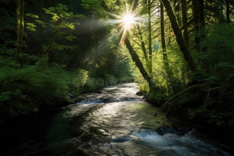 Sparkling River Rushing through a Forest, with Sunlight Filtering ...