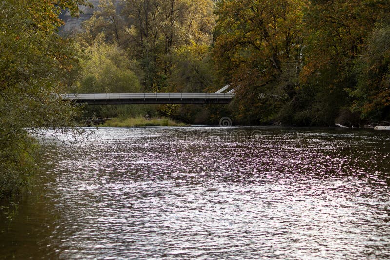 Sparkling River Throgh Forest in Early Fall Stock Image - Image of ...