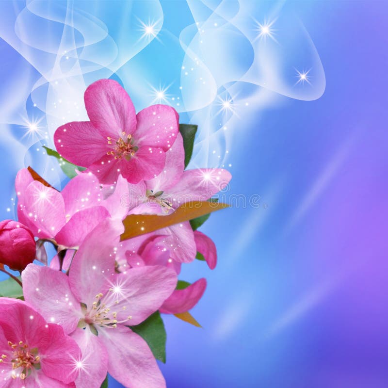 Sparkling sakura stock photo. Image of glow, abstract - 68536762