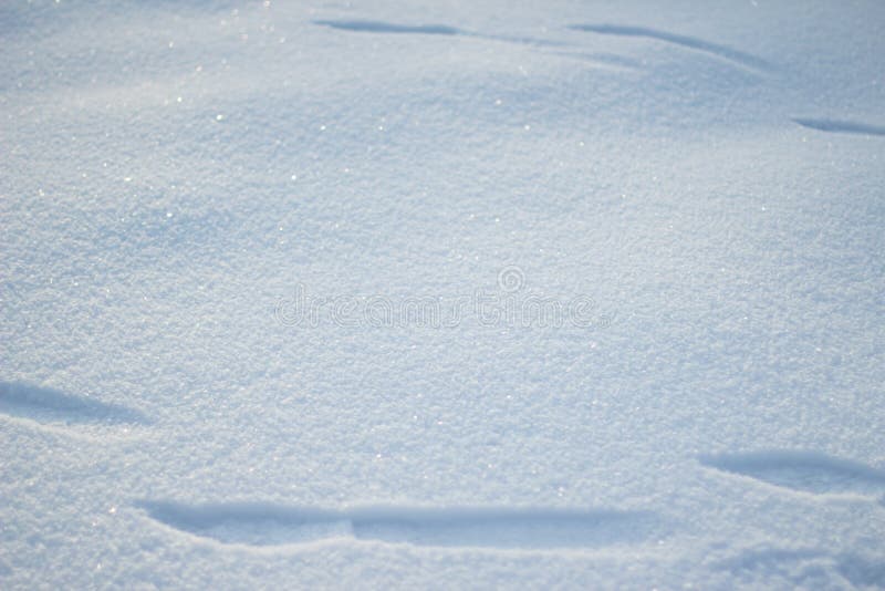 Sparkling snow background stock photo. Image of copyspace - 66288942