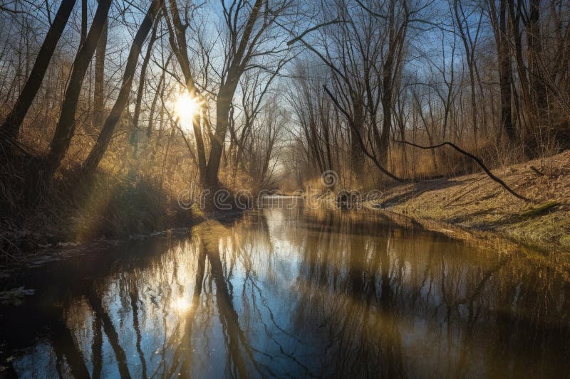 Sparkling Stream, with Reflections of Trees and Sky Stock Illustration ...