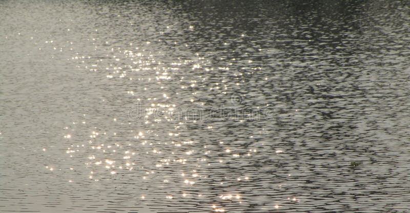 Sparkling Sunlight Reflections on Calm Water Surface Stock Photo ...
