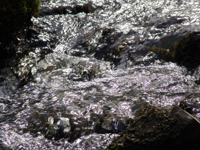 Sparkling Water Picture. Image: 99801