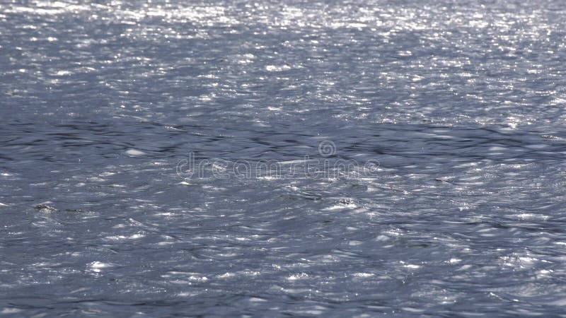 Sparkling Water Surface Reflecting Sunlight on a Windy Day Stock Video ...