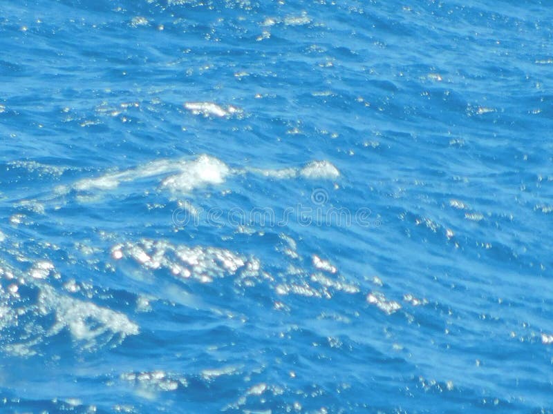 Sparkling waves 1 stock image. Image of waves, ocean - 160853273