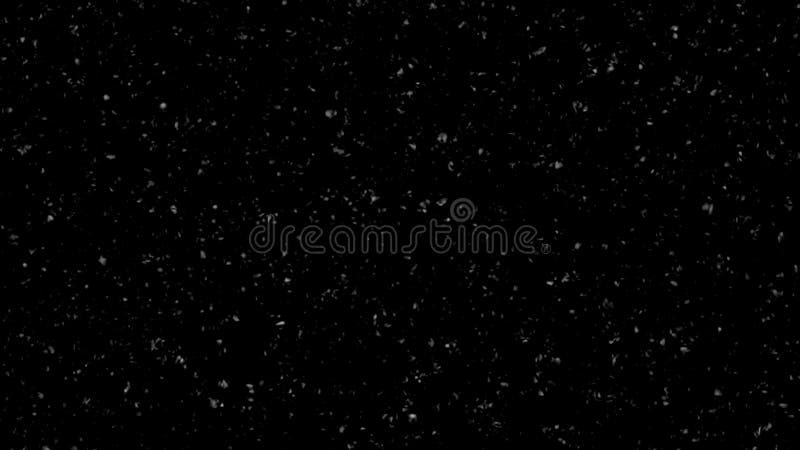 Sparkly Particles Falling Down Floating on Black Background. Glittering ...