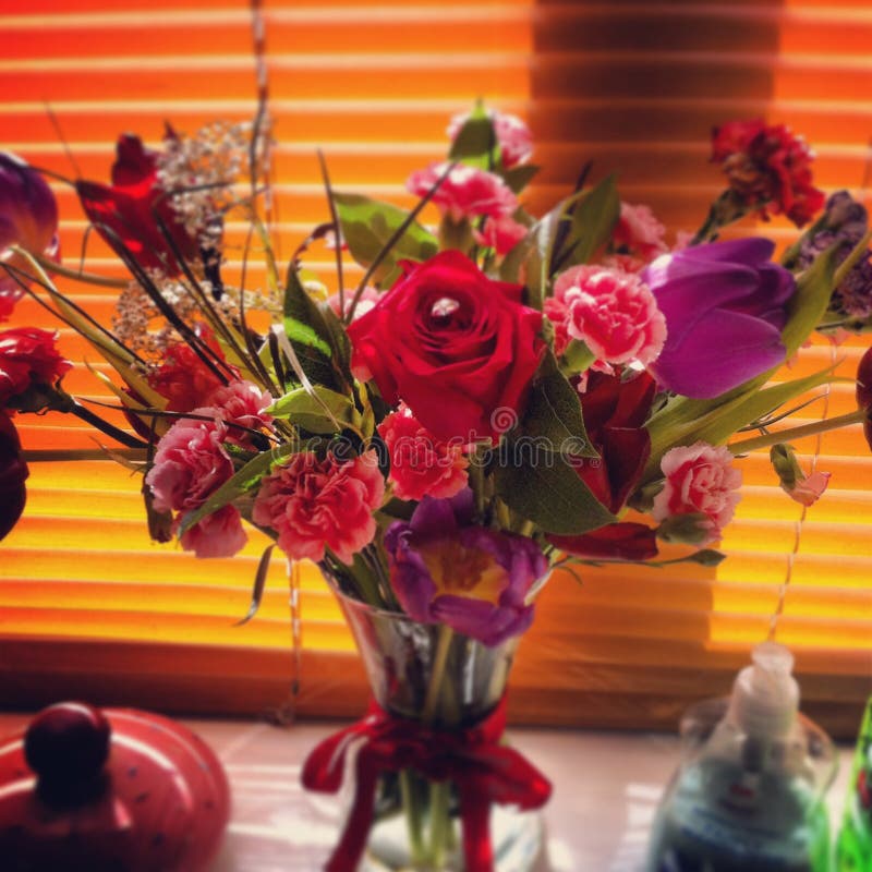 Sparkly roses stock image. Image of beautiful, flowers - 70581937