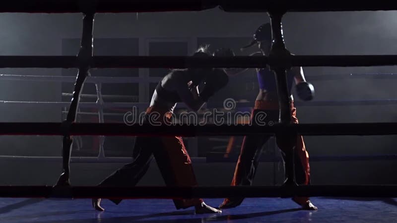 Two Girls Sparring Stock Footage & Videos - 26 Stock Videos