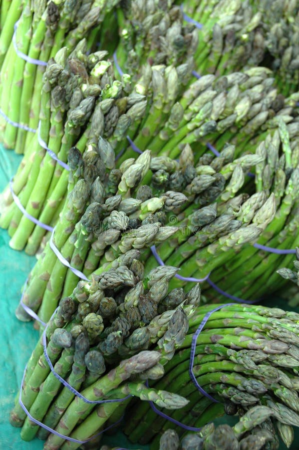 Sparris arkivfoto. Bild av grupp, lunch, livsmedelsbutik - 636630