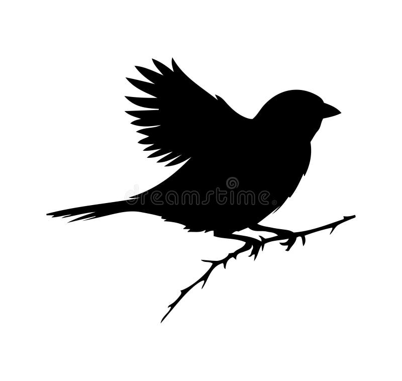 Silhouetted Bird in Flight, Perched on a Branch. Stock Illustration ...