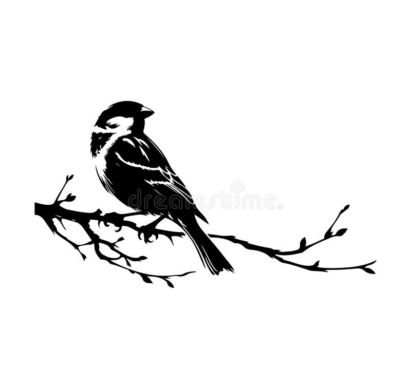 Elegant Black and White Silhouette of a Sparrow Perched on a Branch ...