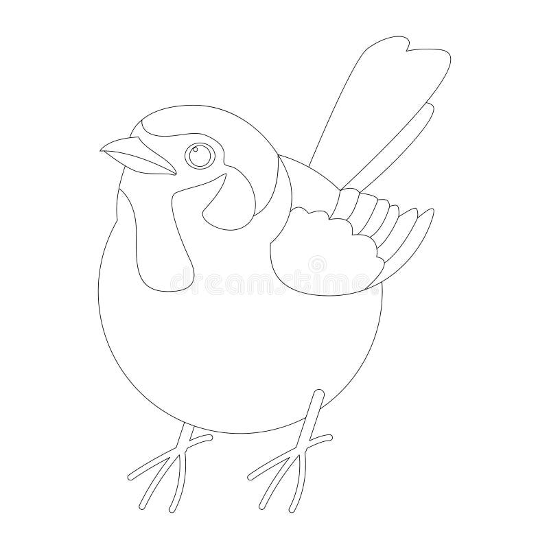 Sparrow Bird , Vector Illustration , Lining Draw , Front Stock Vector ...