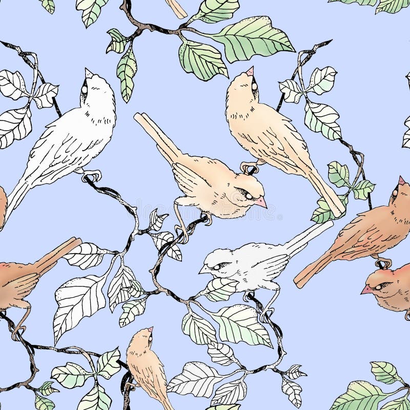 Sparrow Bird on Vine Branch Stock Illustration - Illustration of ...