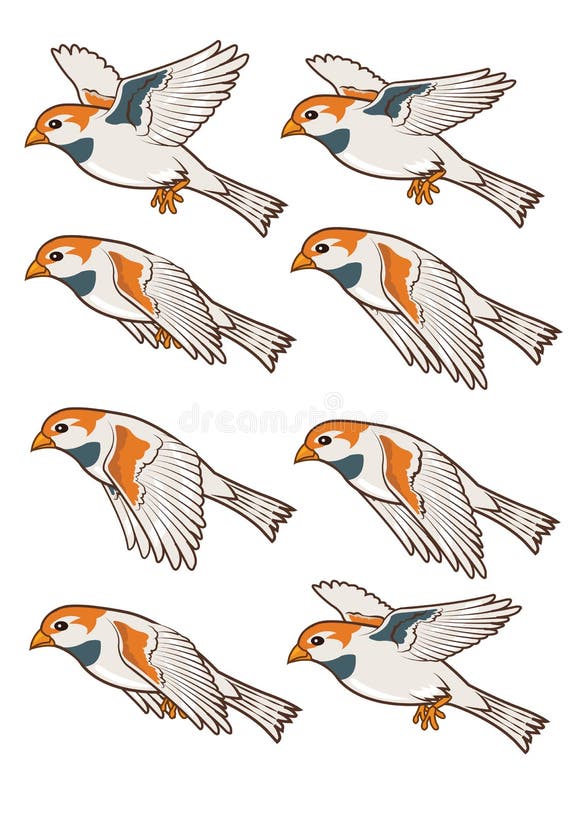 Sparrow Flying Animation Sprite Stock Illustration - Illustration of ...