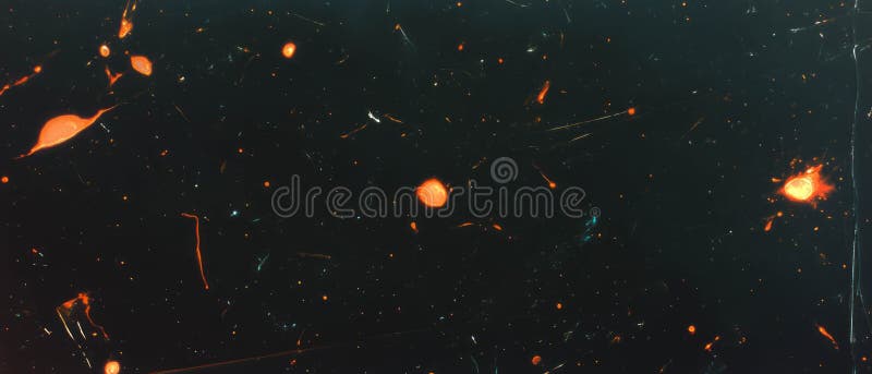 Sparks of Ember Glow Against a Black Background Creating a Warm ...