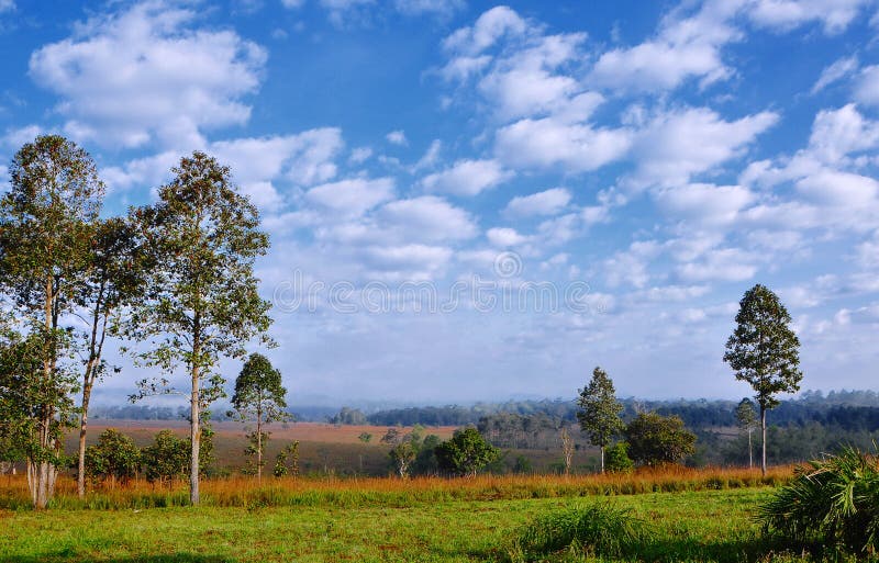 Sparse foothills stock photo. Image of country, earth - 90737412