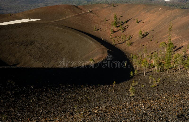 Sparse Pine Trees Grow on the Edge of Cinder Cone Stock Image - Image ...