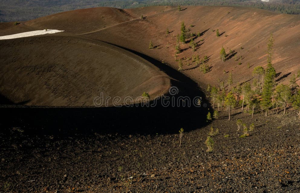 Sparse Pine Trees Grow on the Edge of Cinder Cone Stock Image - Image ...