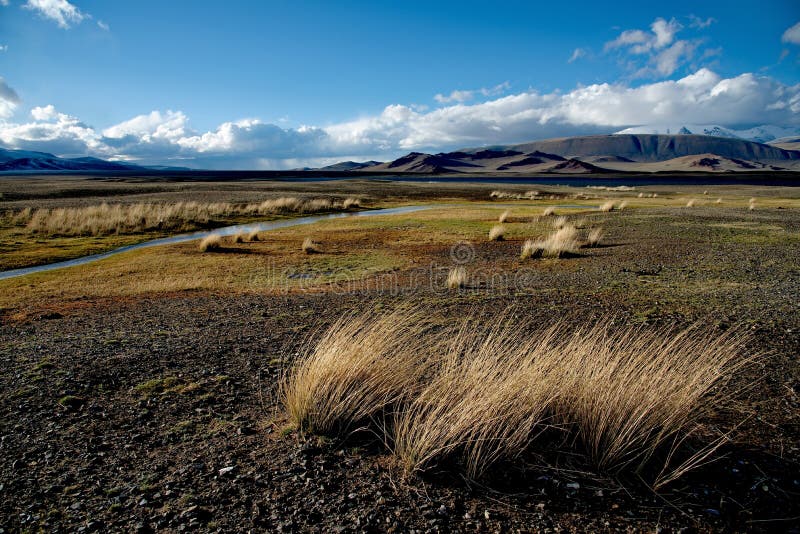 Sparse Vegetation of the Mongolian Steppes Stock Photo - Image of ...