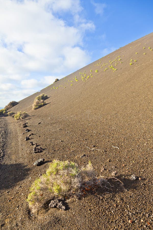 Sparse Vegetation on Volcanic Hills Stock Photo - Image of plants ...