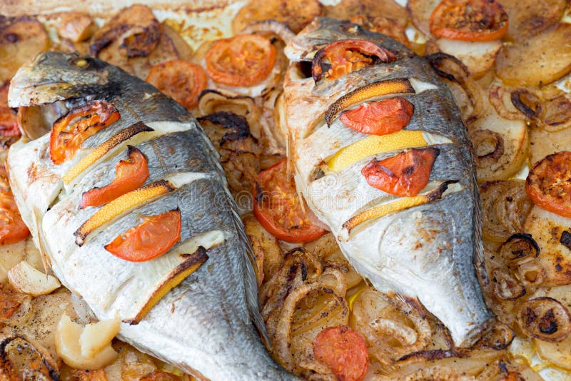 Sparus aurata baked stock image. Image of lunch, plate - 83900625